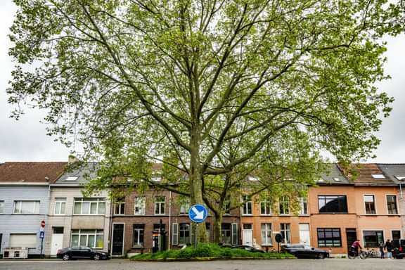 Slimme waarborgen voor iedereen! | Borgr